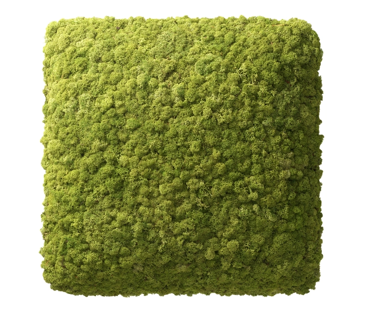 CONVEX SQUARE - Sound absorbing objects from Nordgröna | Architonic