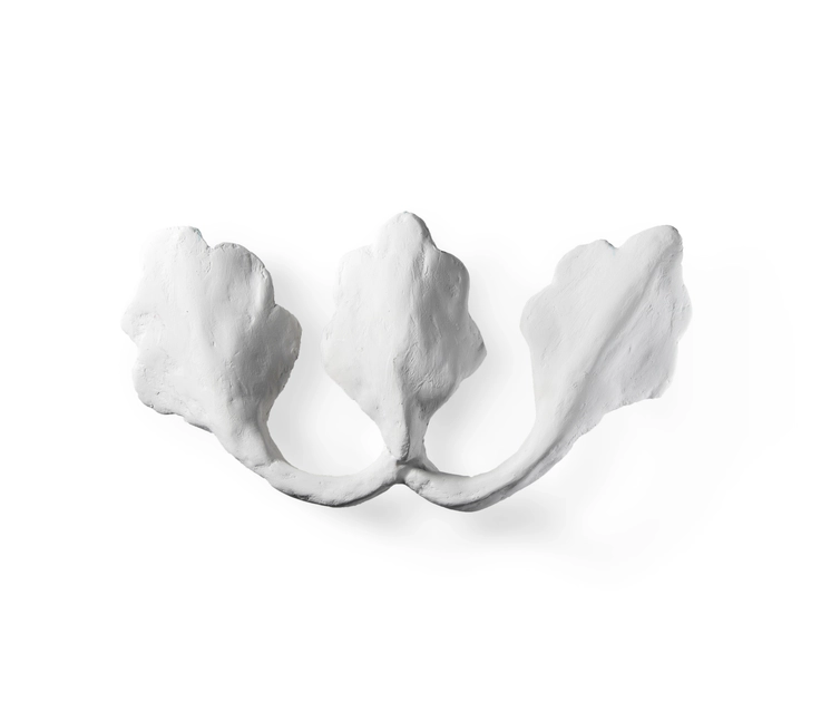 PIP WALL LIGHT - Wall lights from Porta Romana | Architonic