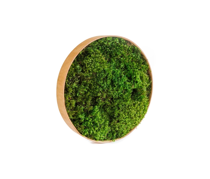 RUNDE MOOSBILDER | MOOS BILD MIT PROVENCE MOOS 30 CM - Schalldämpfende ...