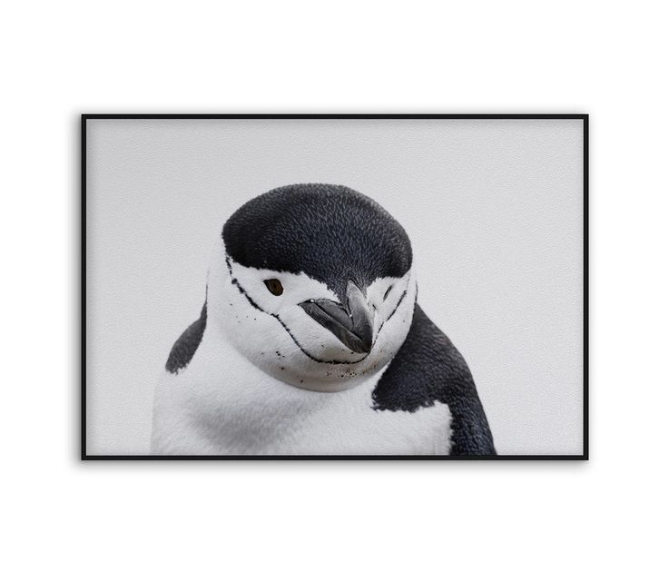 ACOUSTICFRAME | NCD-PTZ03-AF – Objetos fonoabsorbentes de NC Design ...