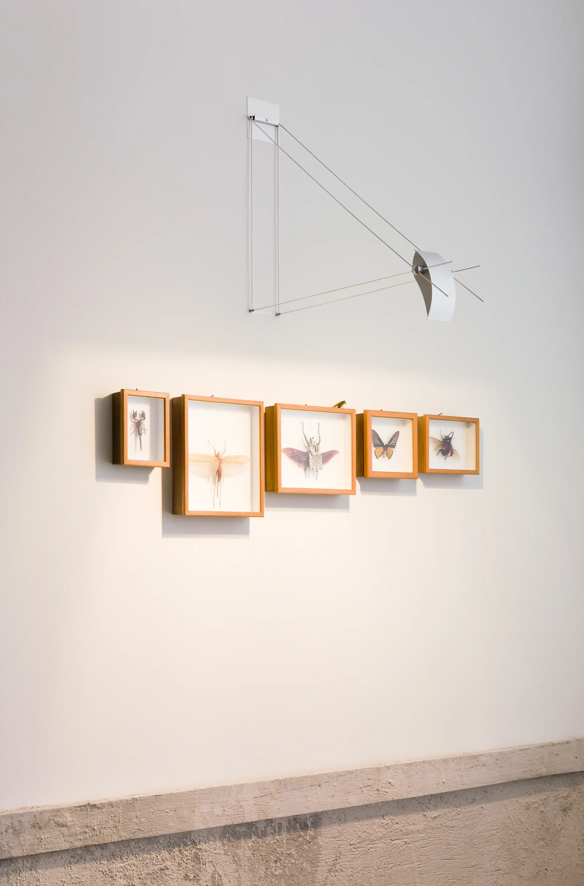 ART MONO - Recessed wall lights from Buschfeld Design | Architonic