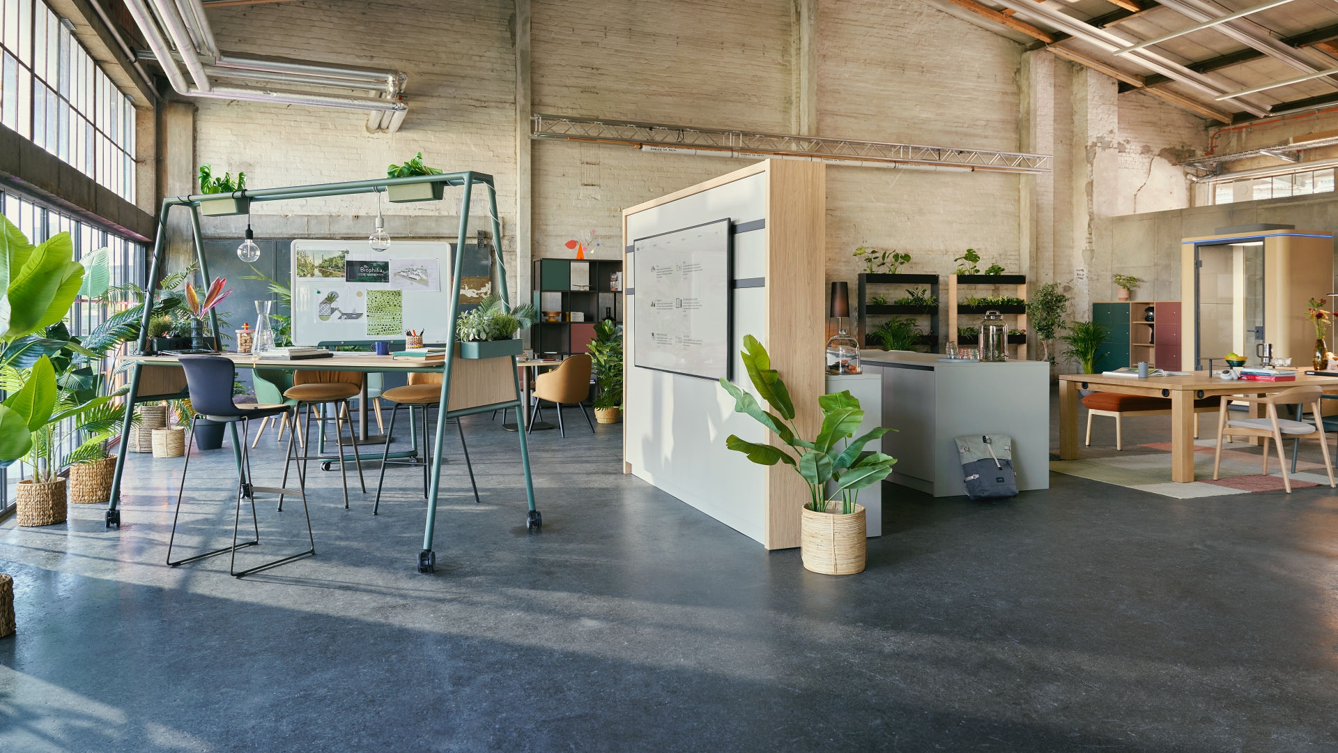 SE:CAFÉ WOODEN CHAIR - Chairs from Sedus Stoll | Architonic