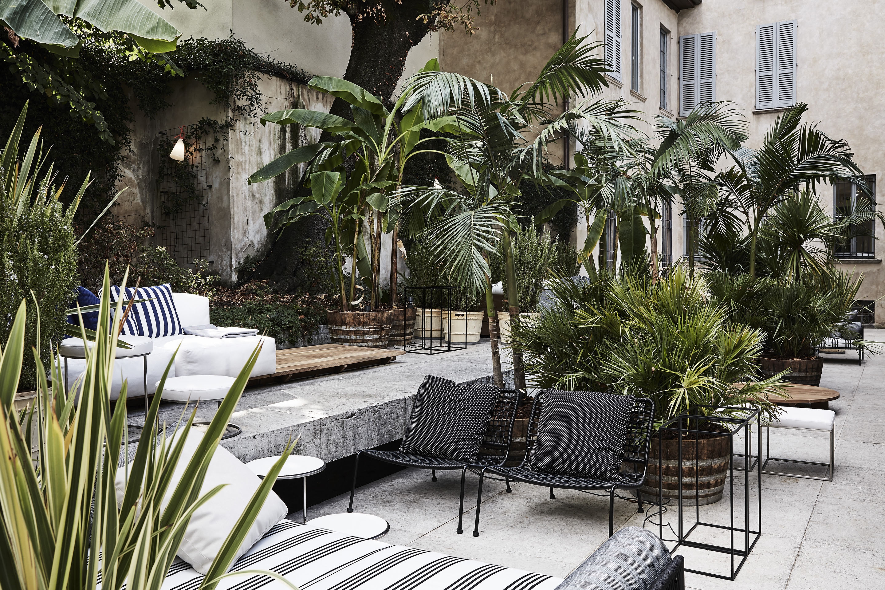 CARBON FROG - Armchairs from Living Divani | Architonic