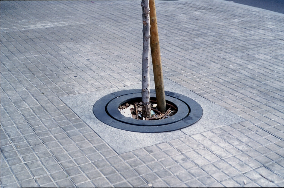 CARMEL | TREE GRATE - Tree grates / Tree grilles from Escofet 1886 ...