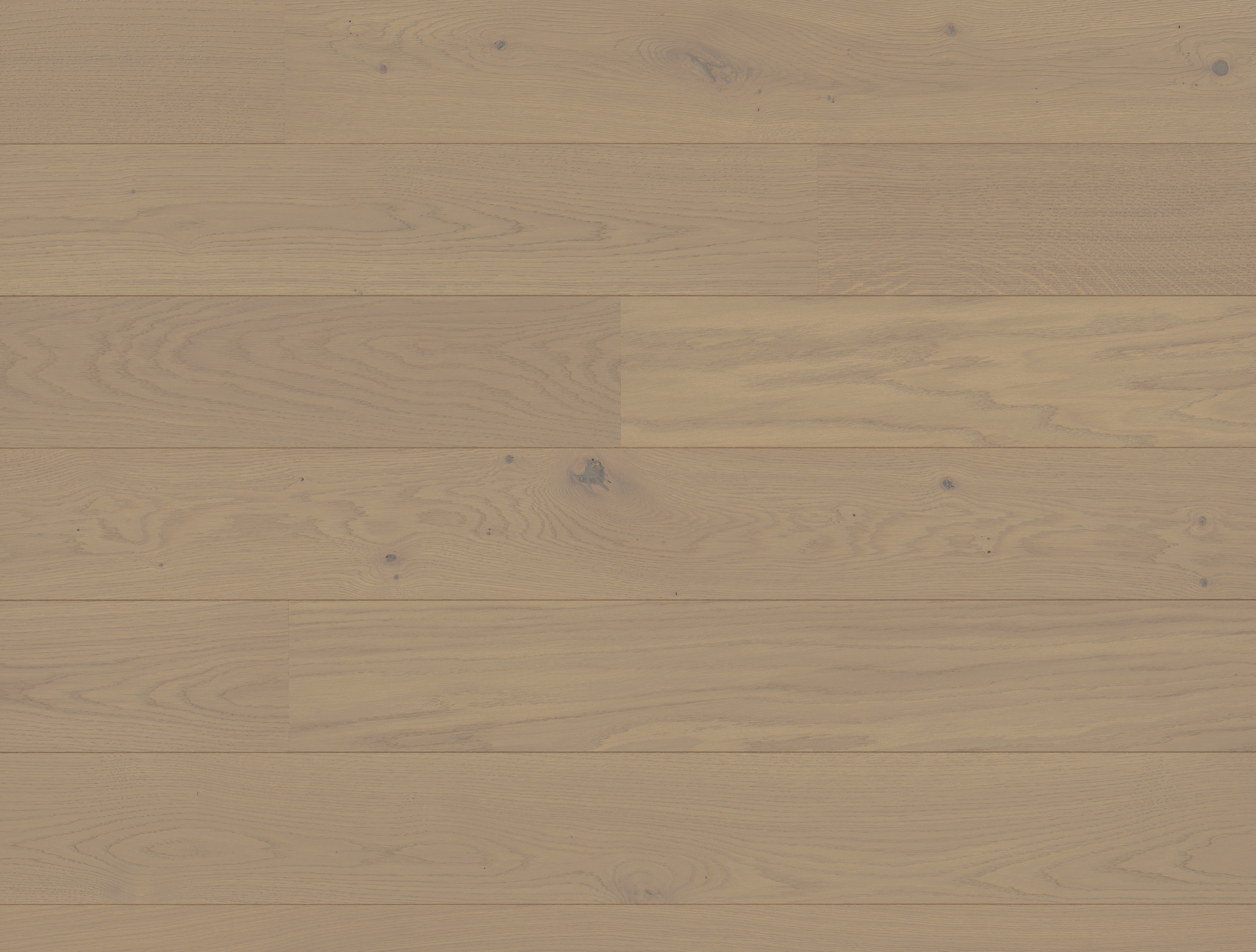 STUDIOPARK OAK MANDORLA 15 - Wood flooring from Bauwerk Parkett ...