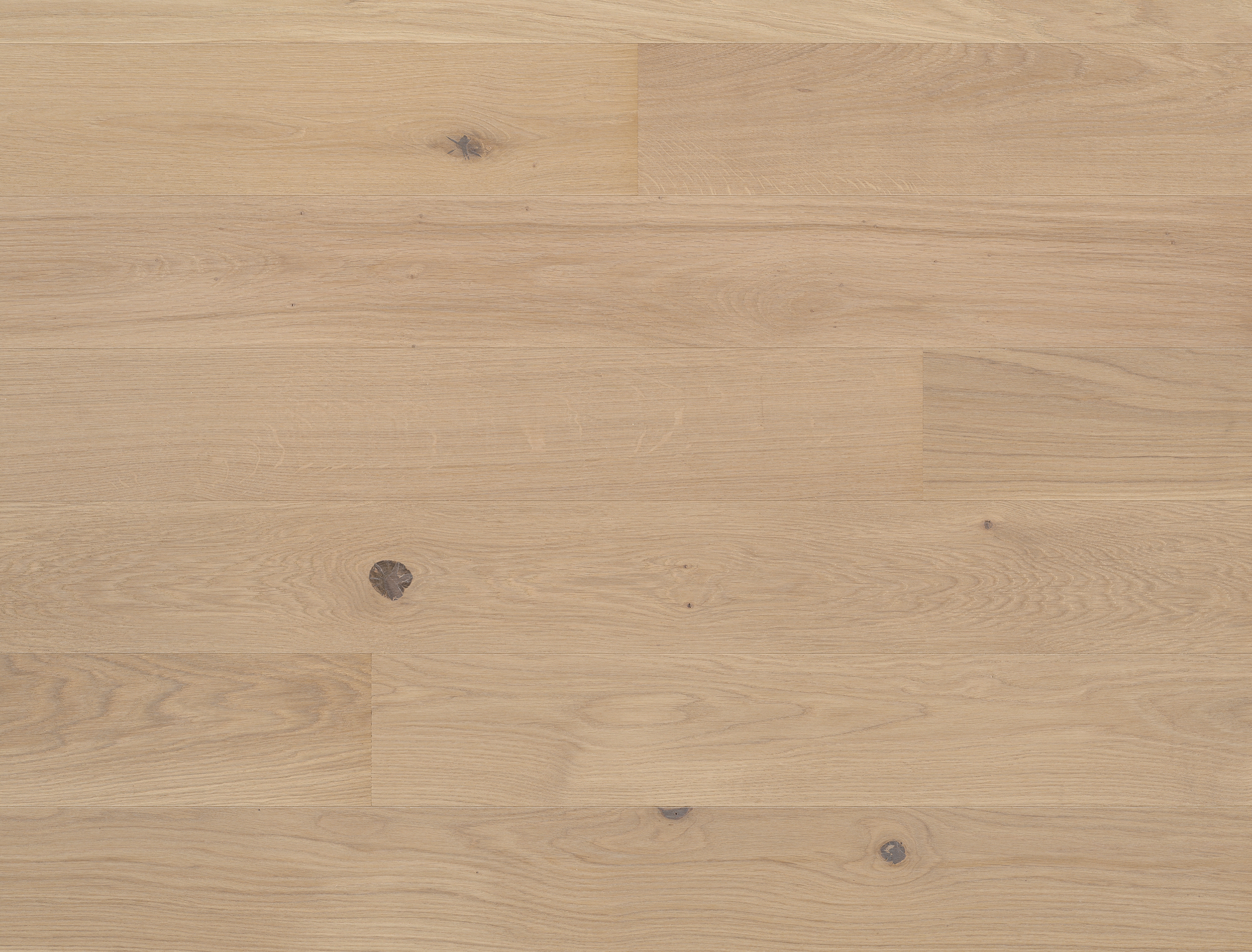 STUDIOPARK OAK MANDORLA 15 - Wood flooring from Bauwerk Parkett ...