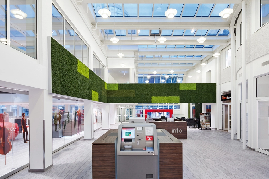 EVERGREEN PREMIUM MOSS COLOR COMBINATIONS - Living / Green walls from ...