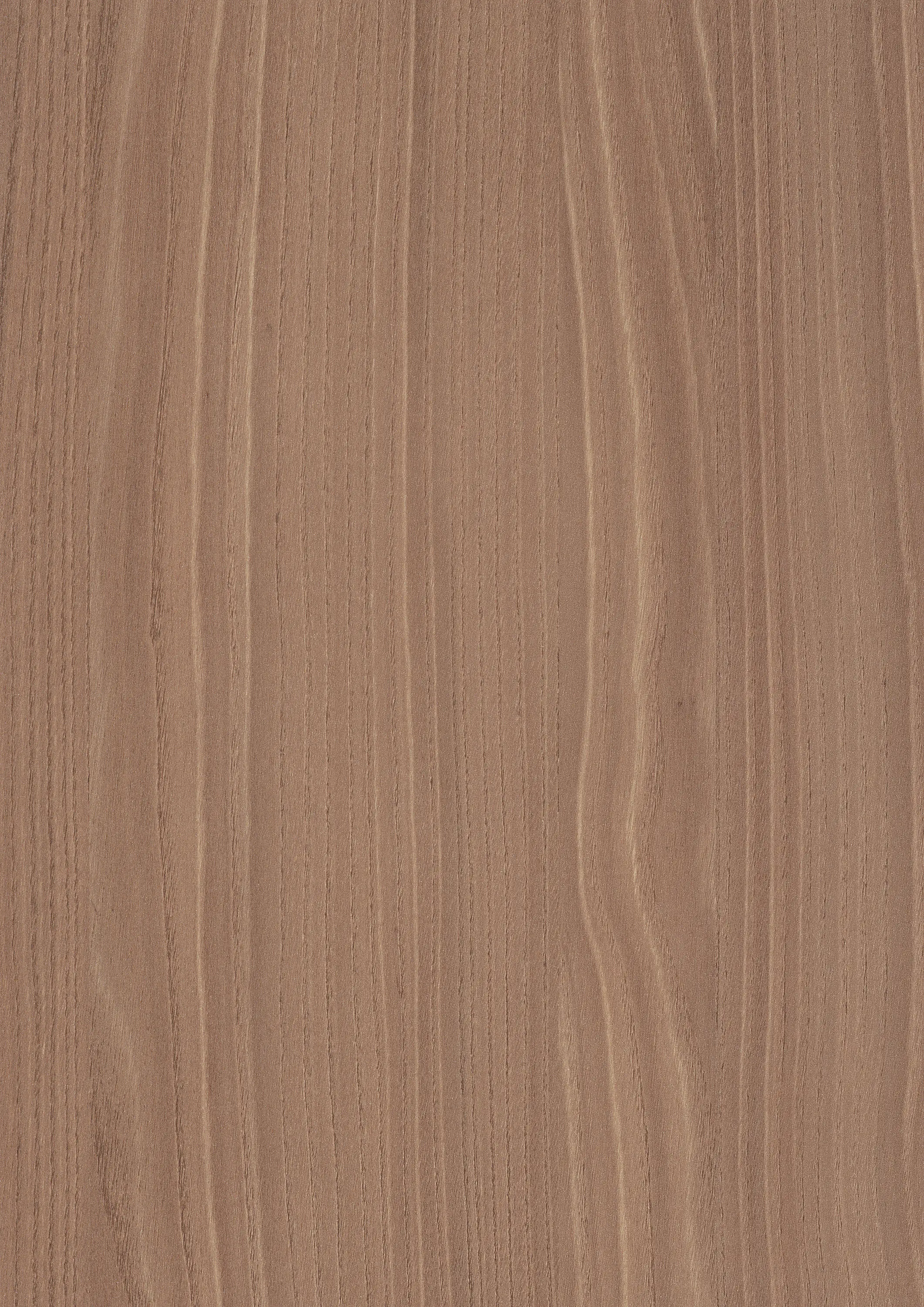 H3786 ACACIA SHEFFIELD GRAFITE ST19 – Pannelli legno di EGGER | Architonic