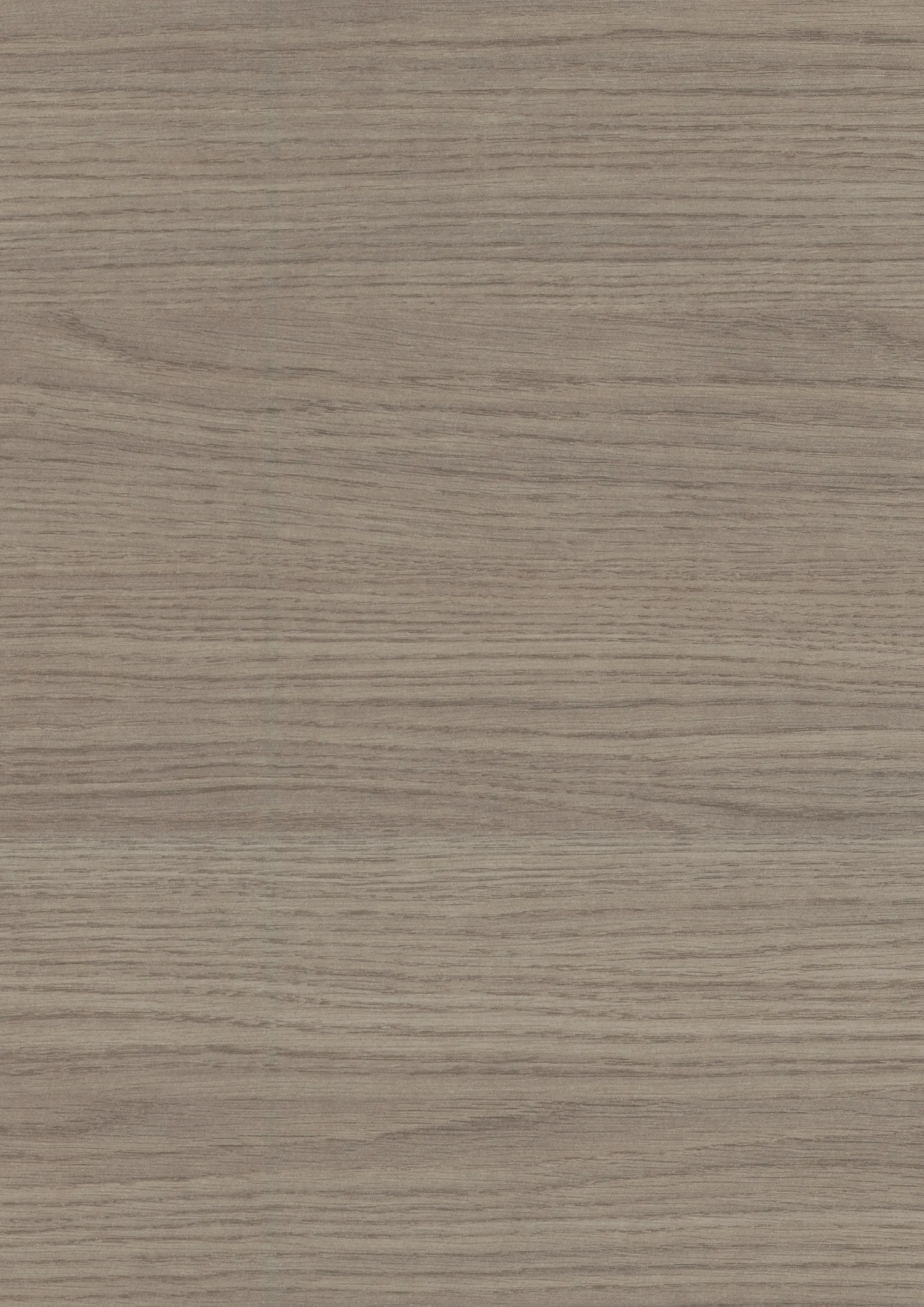 H358 STG4 GREY VICENZA OAK HORIZONTAL - Wood panels from EGGER | Architonic