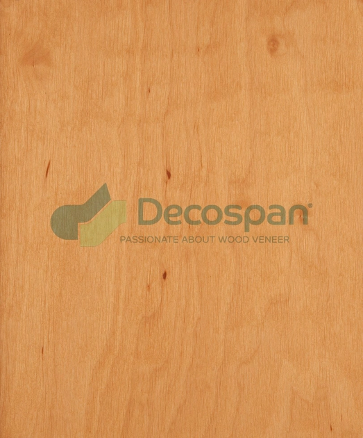 DECOSPAN ALDER EUROPEAN – Placages de Decospan | Architonic