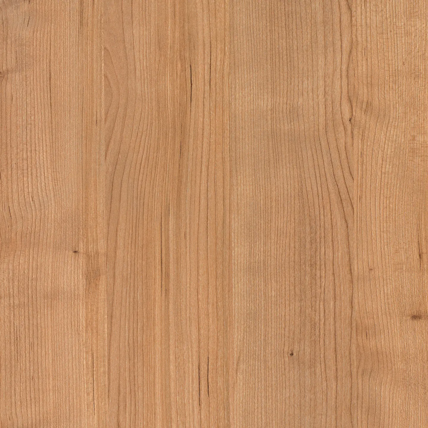 RESOPAL WOODS | AMARENA CHERRY – Habillage mural stratifié de Resopal ...