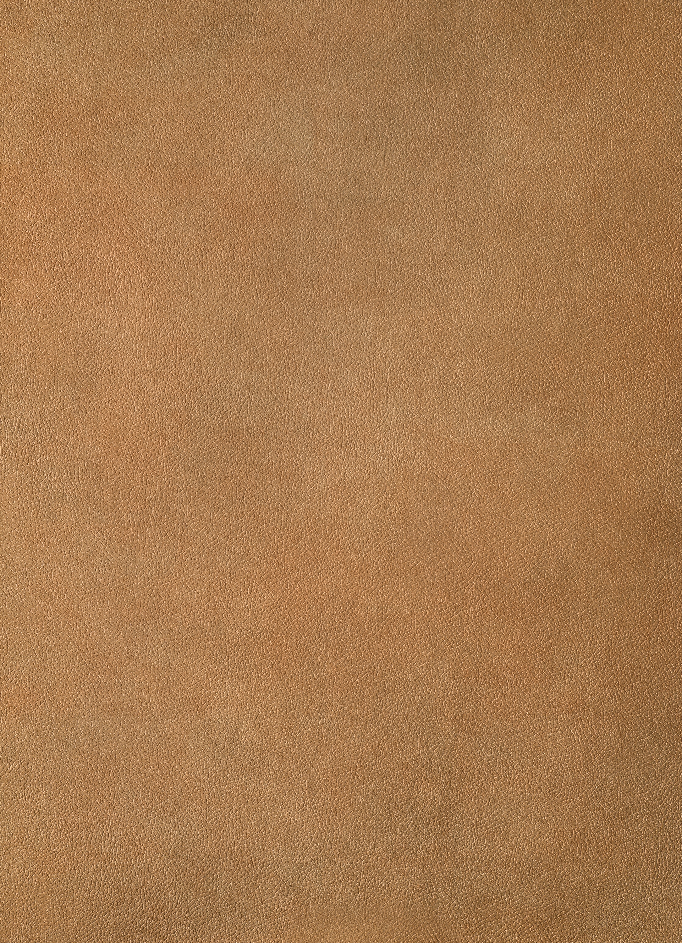 PRIMOFIORE FA34 - Wood panels from CLEAF | Architonic