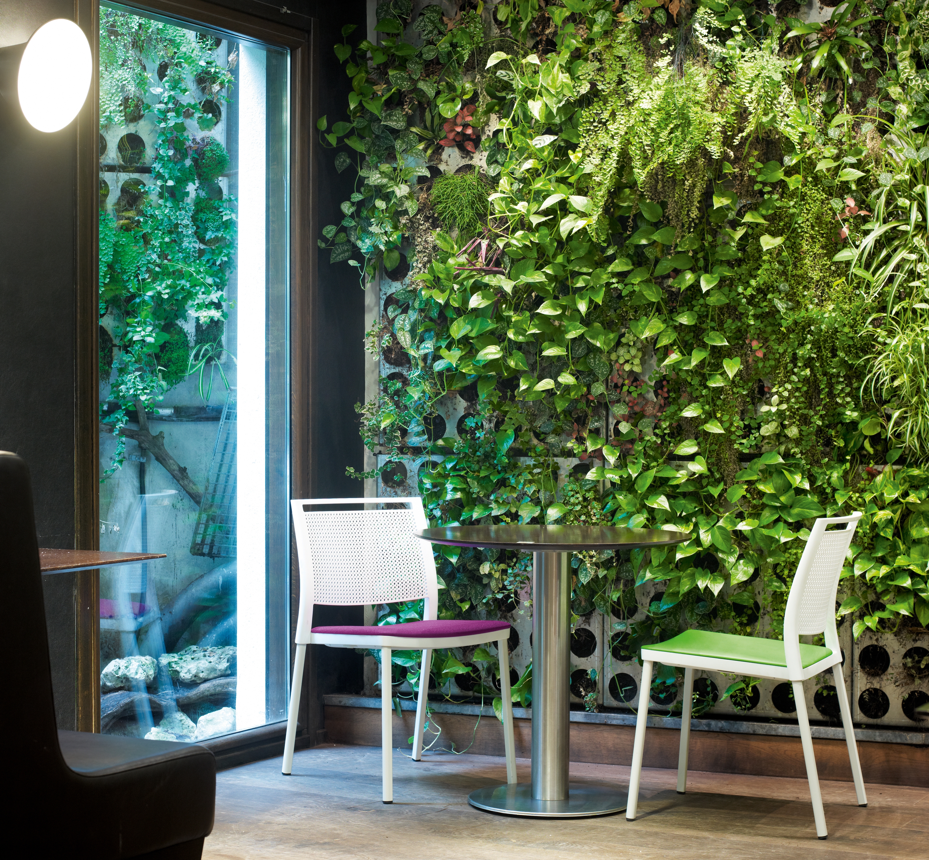 KOOL - Chairs from Forma 5 | Architonic