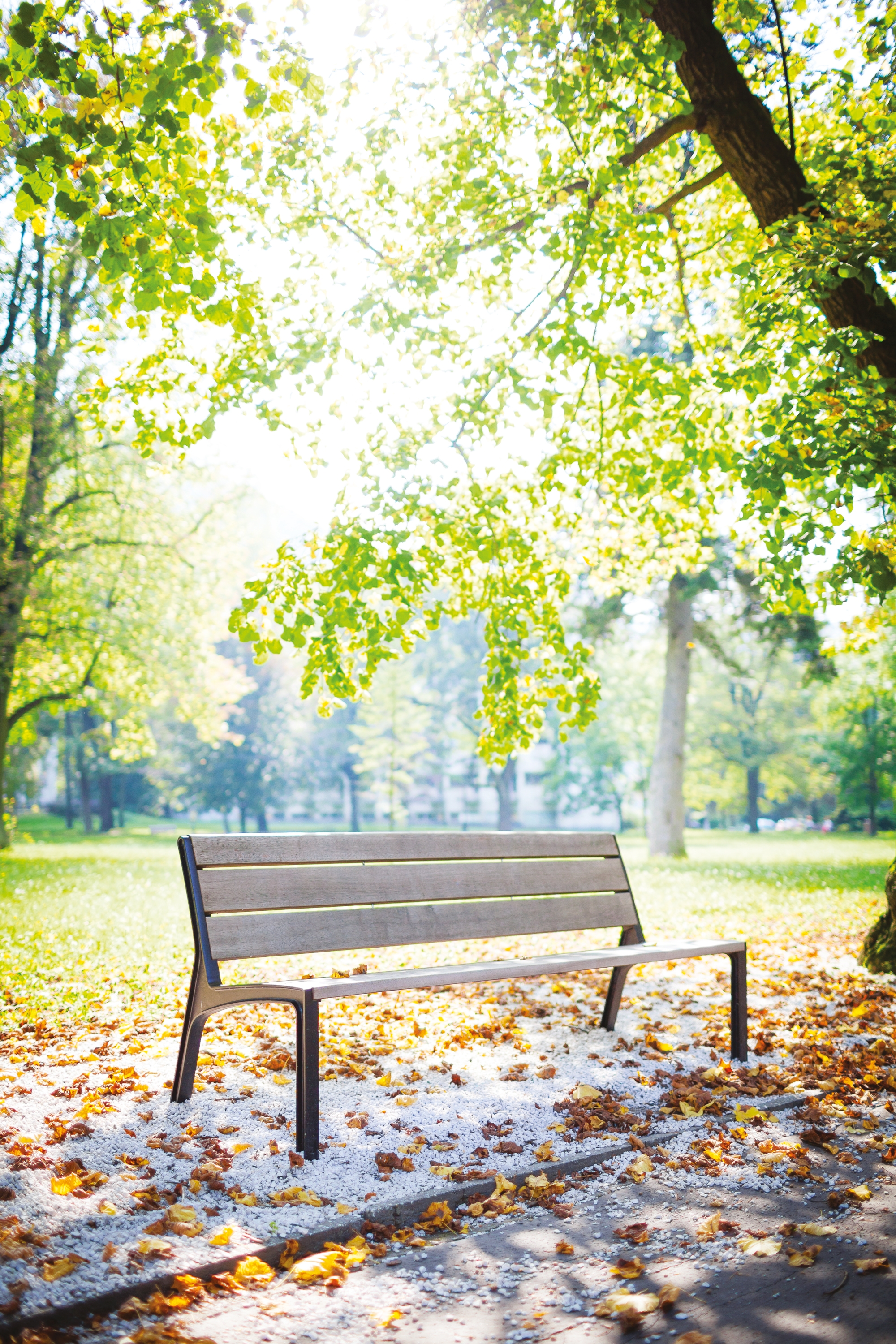 MIELA | PARK BENCH - Benches from mmcité | Architonic