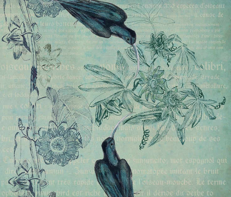 HAIKU - Wall art / Murals from Wall&decò | Architonic