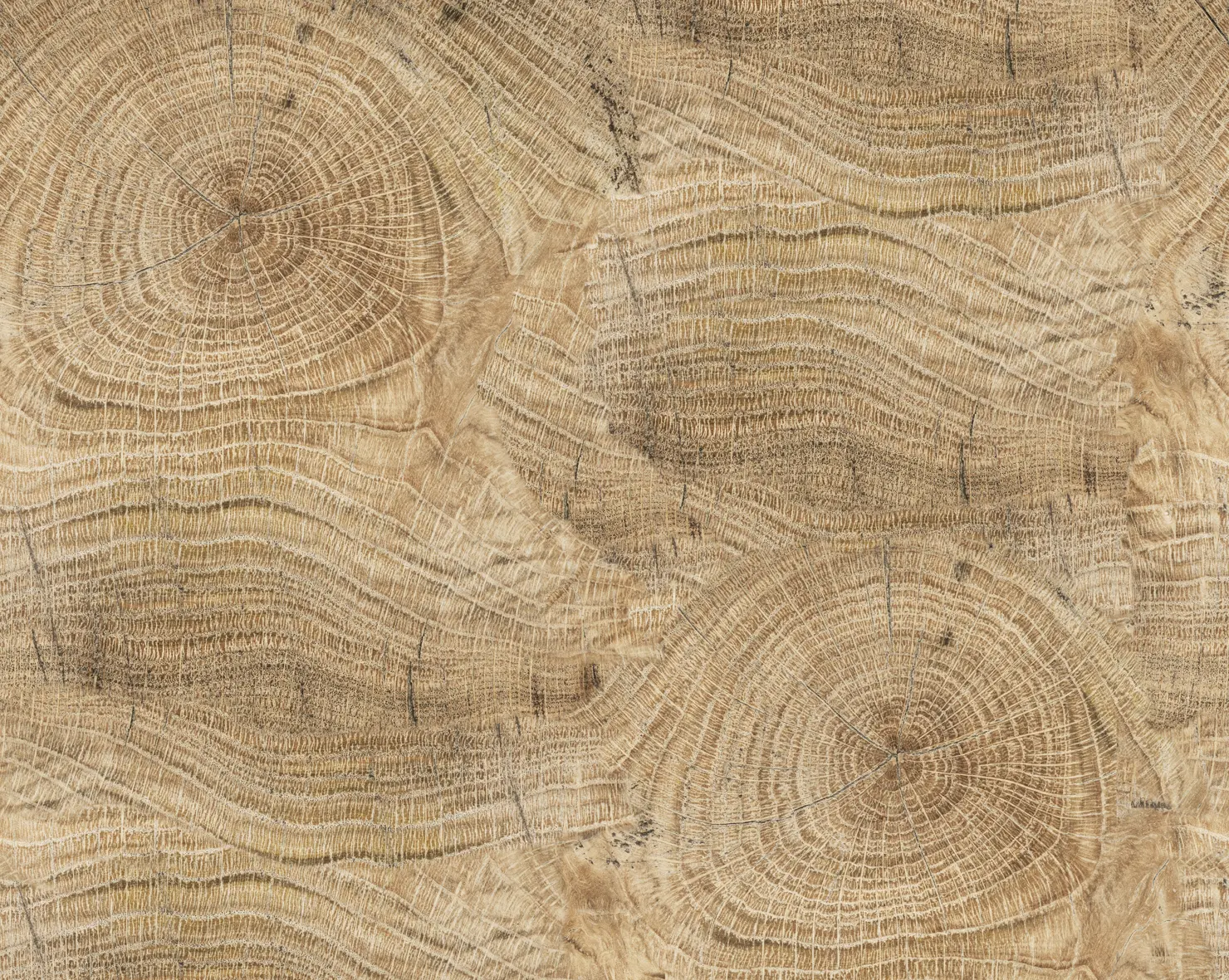 LIFE LINES - Wall coverings / wallpapers from Wall&decò | Architonic