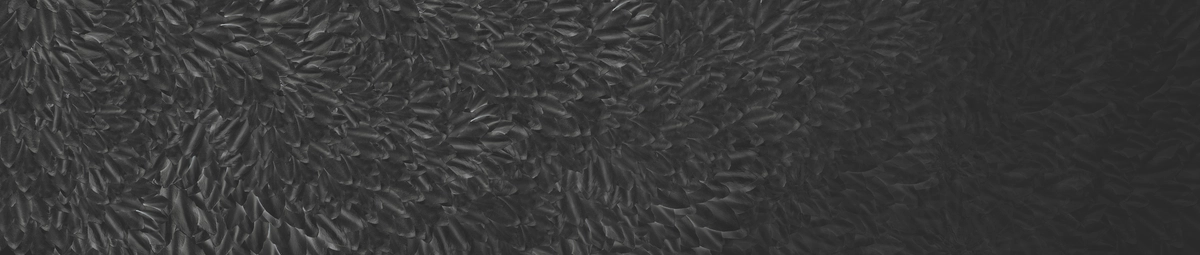 THE DARK SIDE - Wall coverings / wallpapers from Wall&decò | Architonic