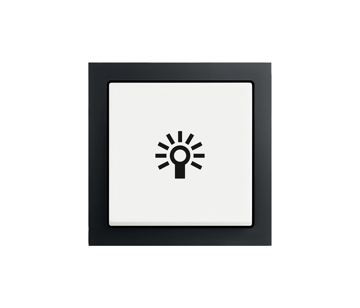 FUTURE® LINEAR WITH SYMBOL - Two-way switches from Busch-Jaeger | Architonic