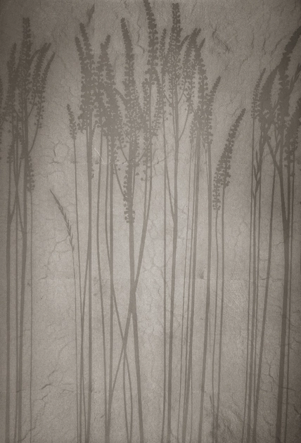 LEAF METAL ALLOCATION | GRASSES - Coating from VEROB | Architonic