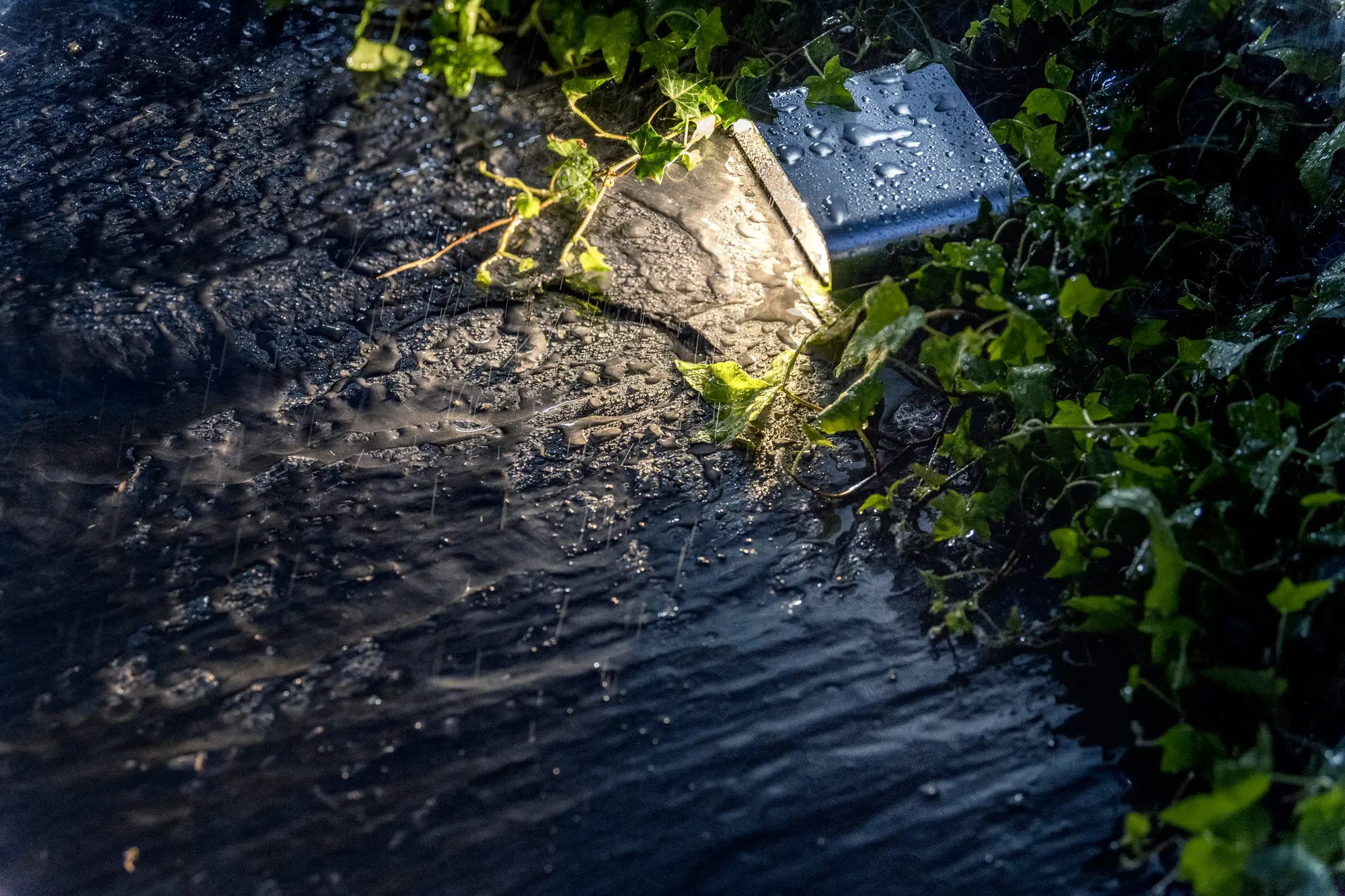 PASSO GRAZING LIGHT STS - Outdoor floor lights from Platek | Architonic
