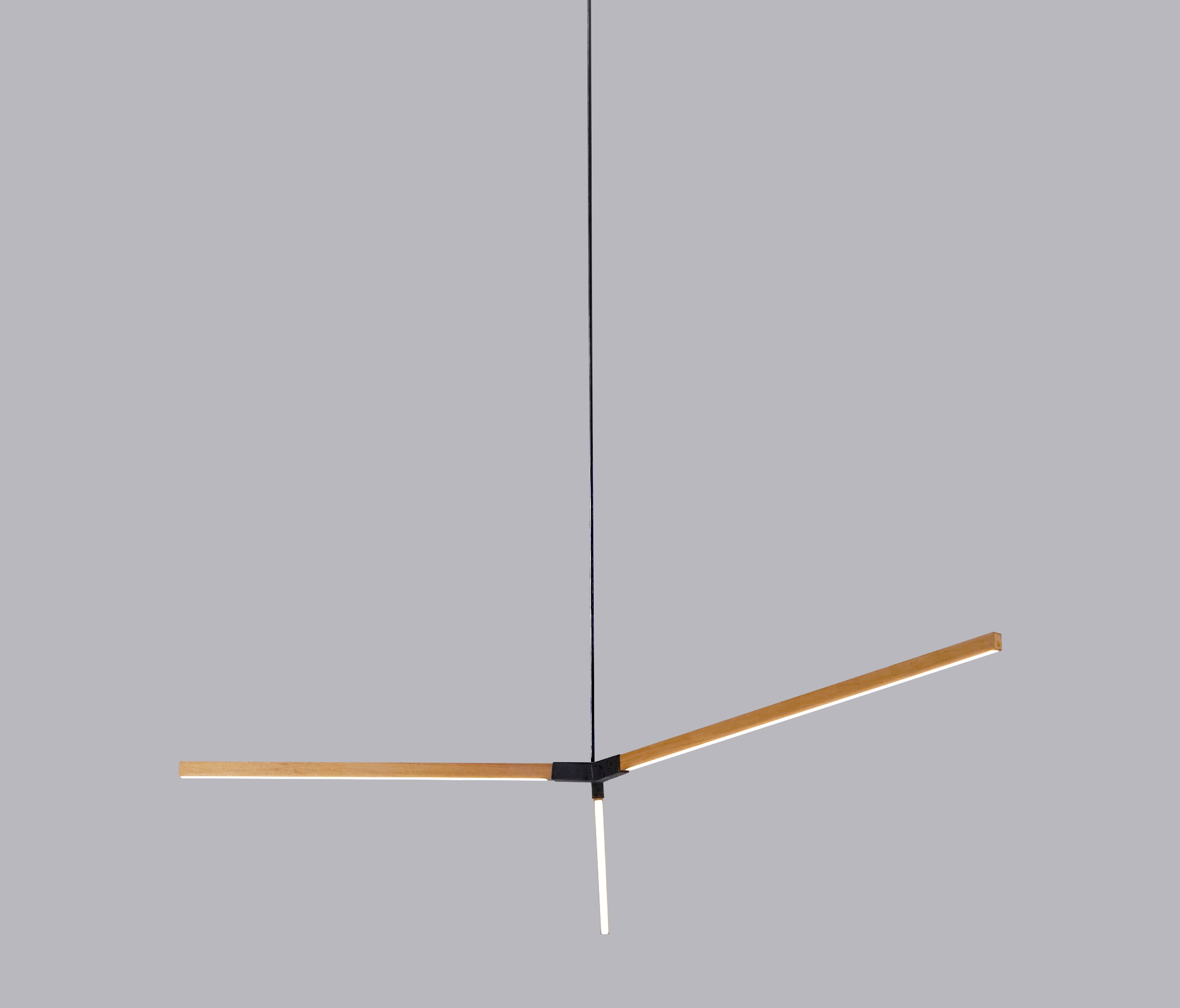 BIG SINGLE BOUGH - Suspended lights from STICKBULB | Architonic