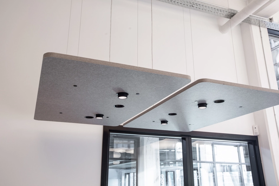 GRAPE FLOAT - LIGHT AND ACOUSTICS IN HARMONY – Panneaux de plafond de ...