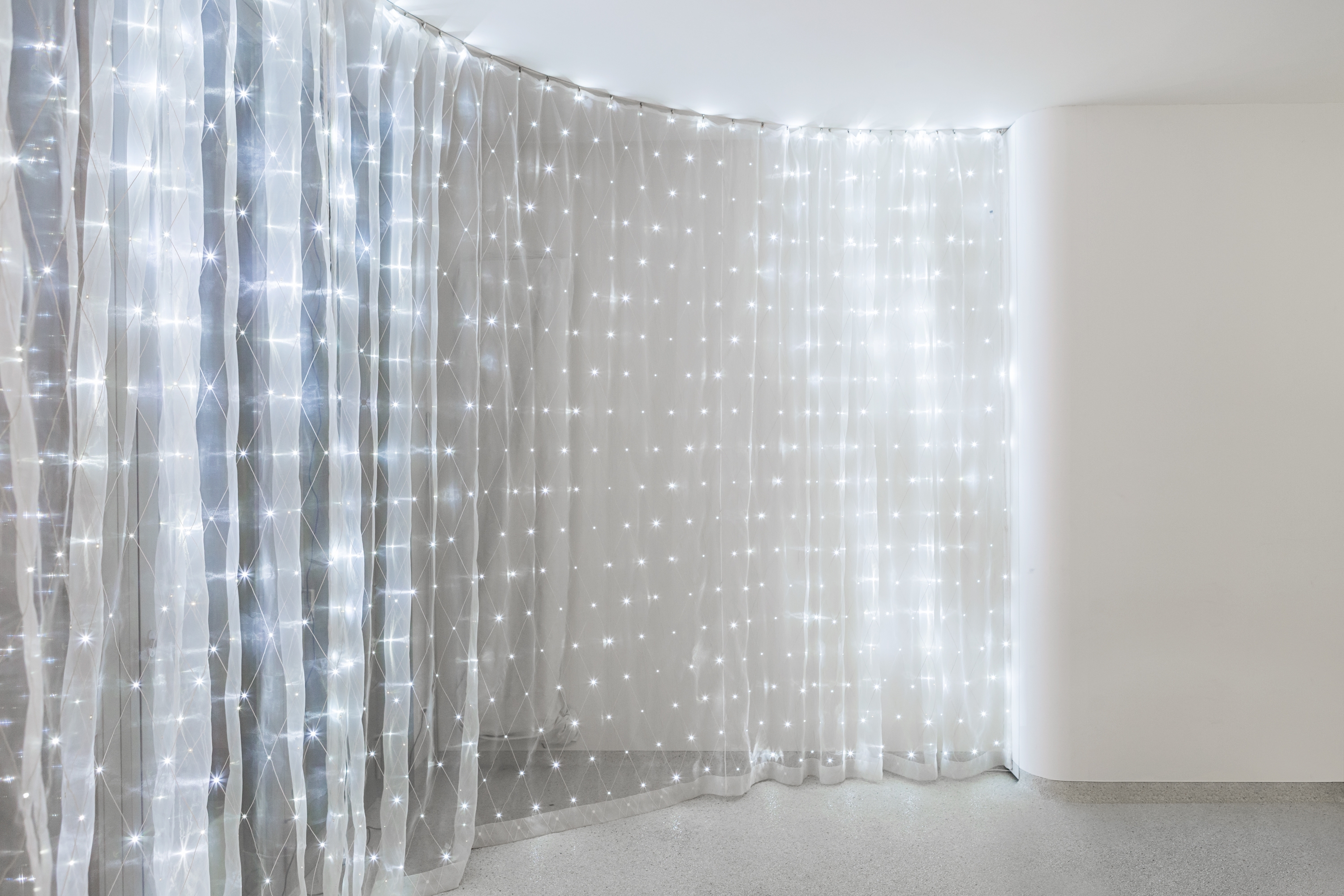 ORGANZA CONTINUUM | ANTHRACITE - Drapery fabrics from Forster Rohner ...