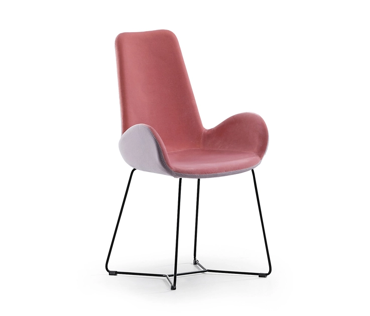 DALIA PA T - Chairs from Midj | Architonic