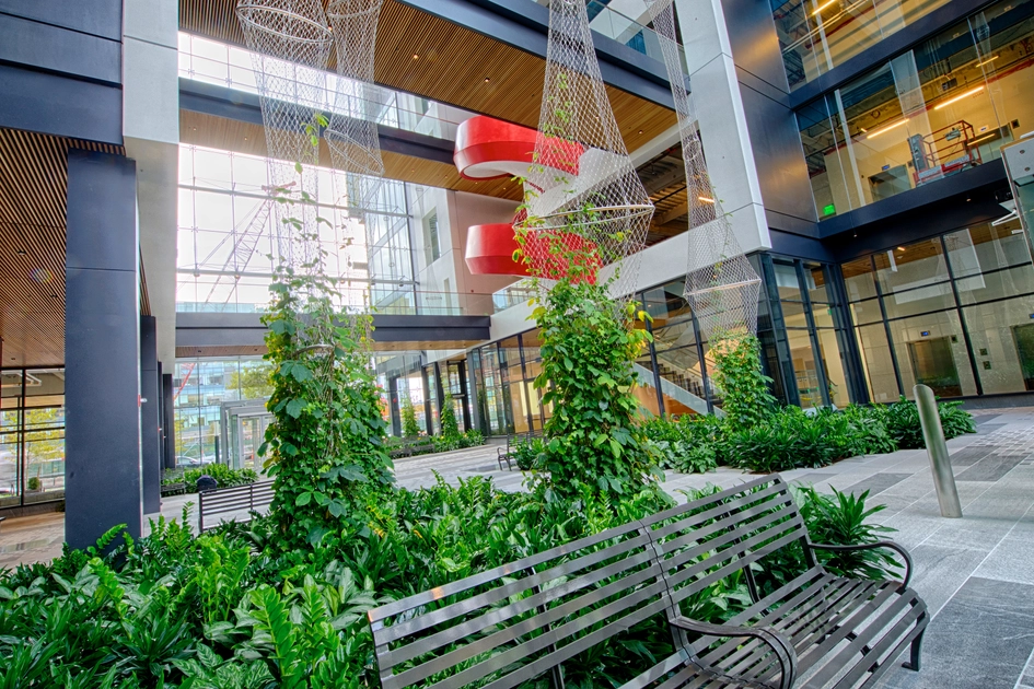 COURTYARD GREENING - Green facades from Jakob | Architonic