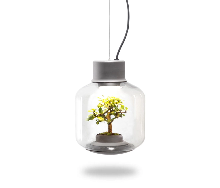 MYGDAL PLANTLIGHT REGULAR ZEN - Suspended lights from Nui Studio | Architonic