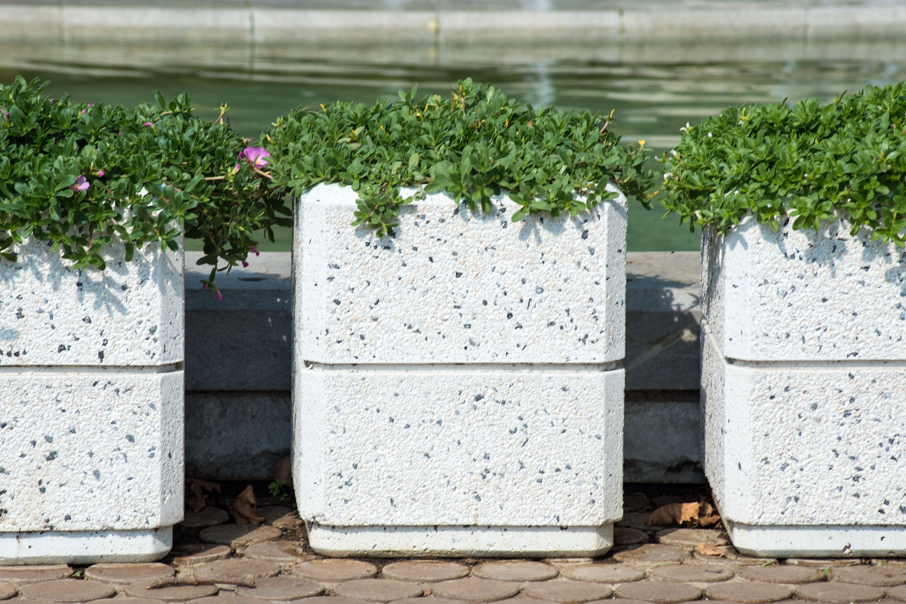 SQUARE CONCRETE PLANTER 73 - Plant pots from ETE | Architonic