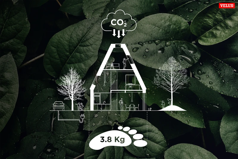 Meet Living Places, a real life experiment to improve people and planet ...